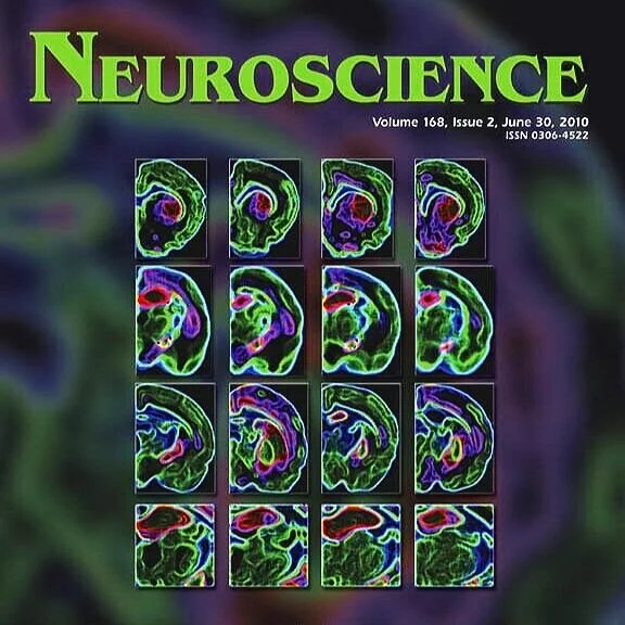 Scientific Publications — SCIOLINO LAB