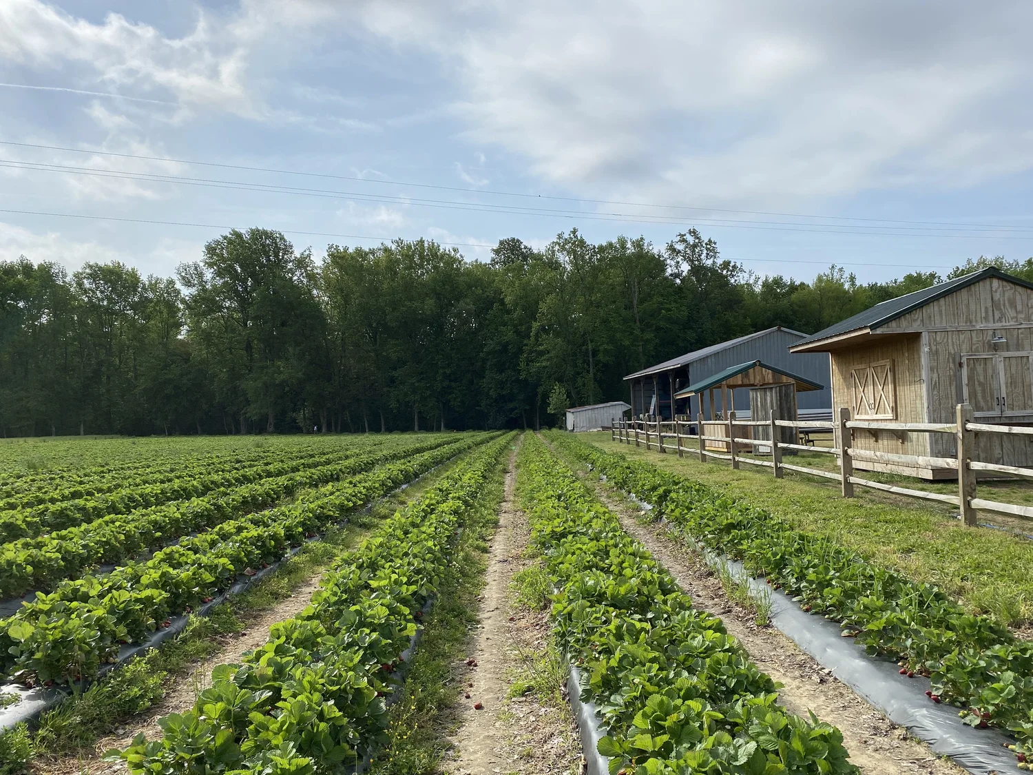 Visit Us — Goose Hill Farm