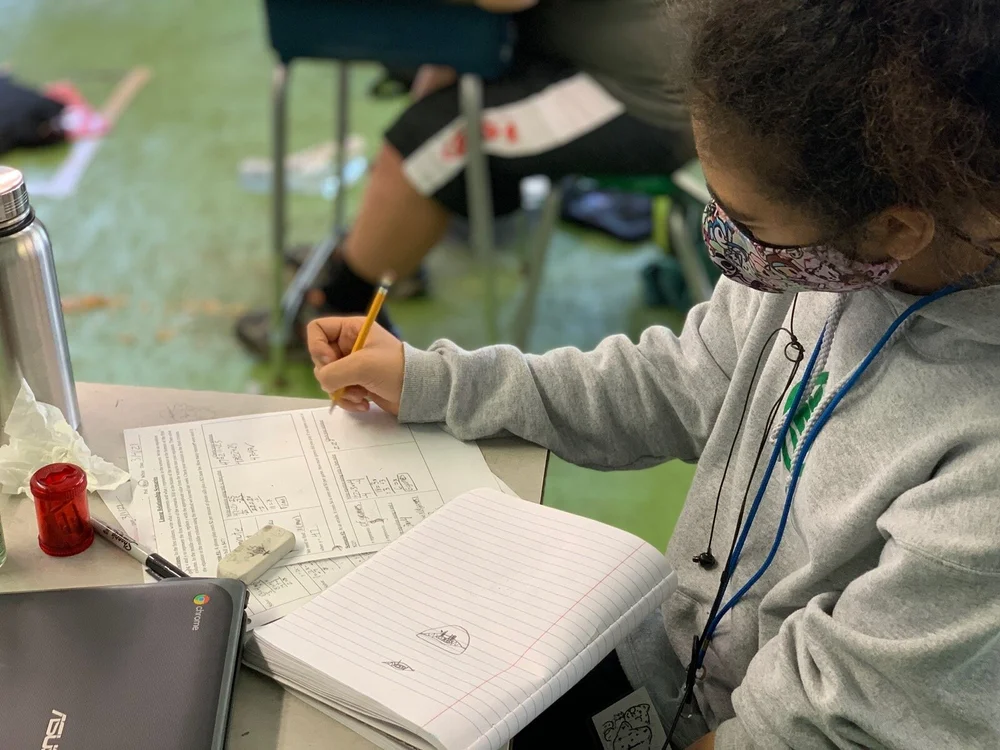 Content Courses & Standards — SEEQS