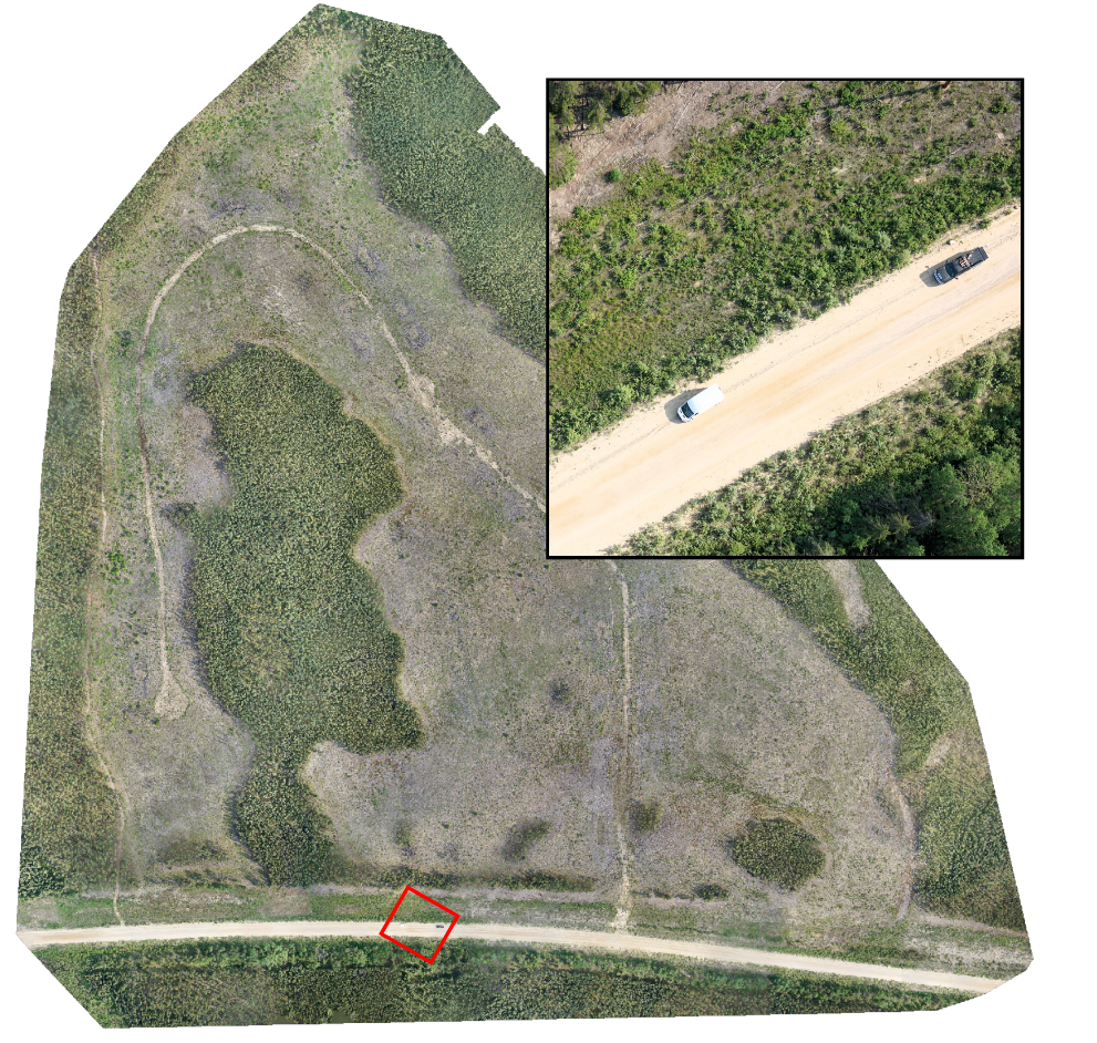 Forest Mapping — Superwake