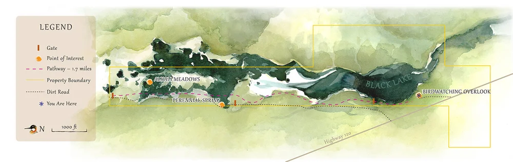 Editorial + Infographics — Logan Parsons Illustration