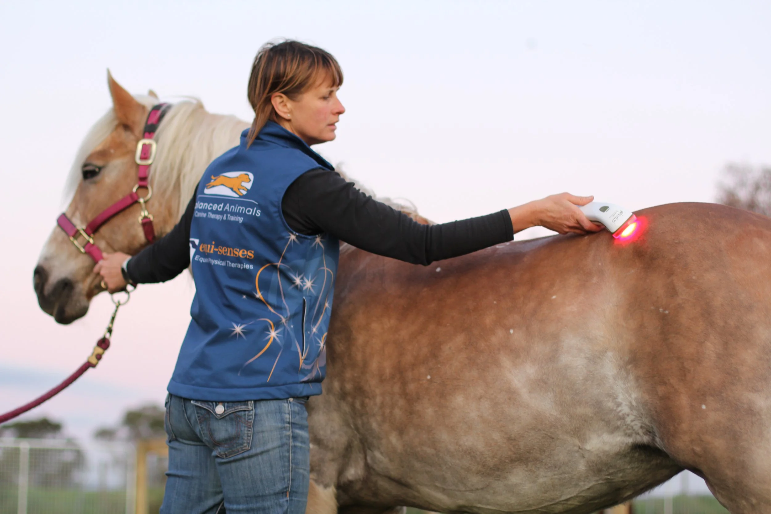 Balanced Animals Online Store — Balanced Animals