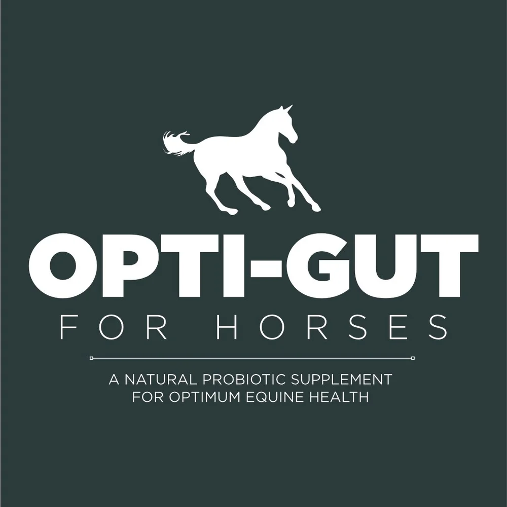 Opti-Gut by Biolink is an affordable high strength equine probiotic for ...