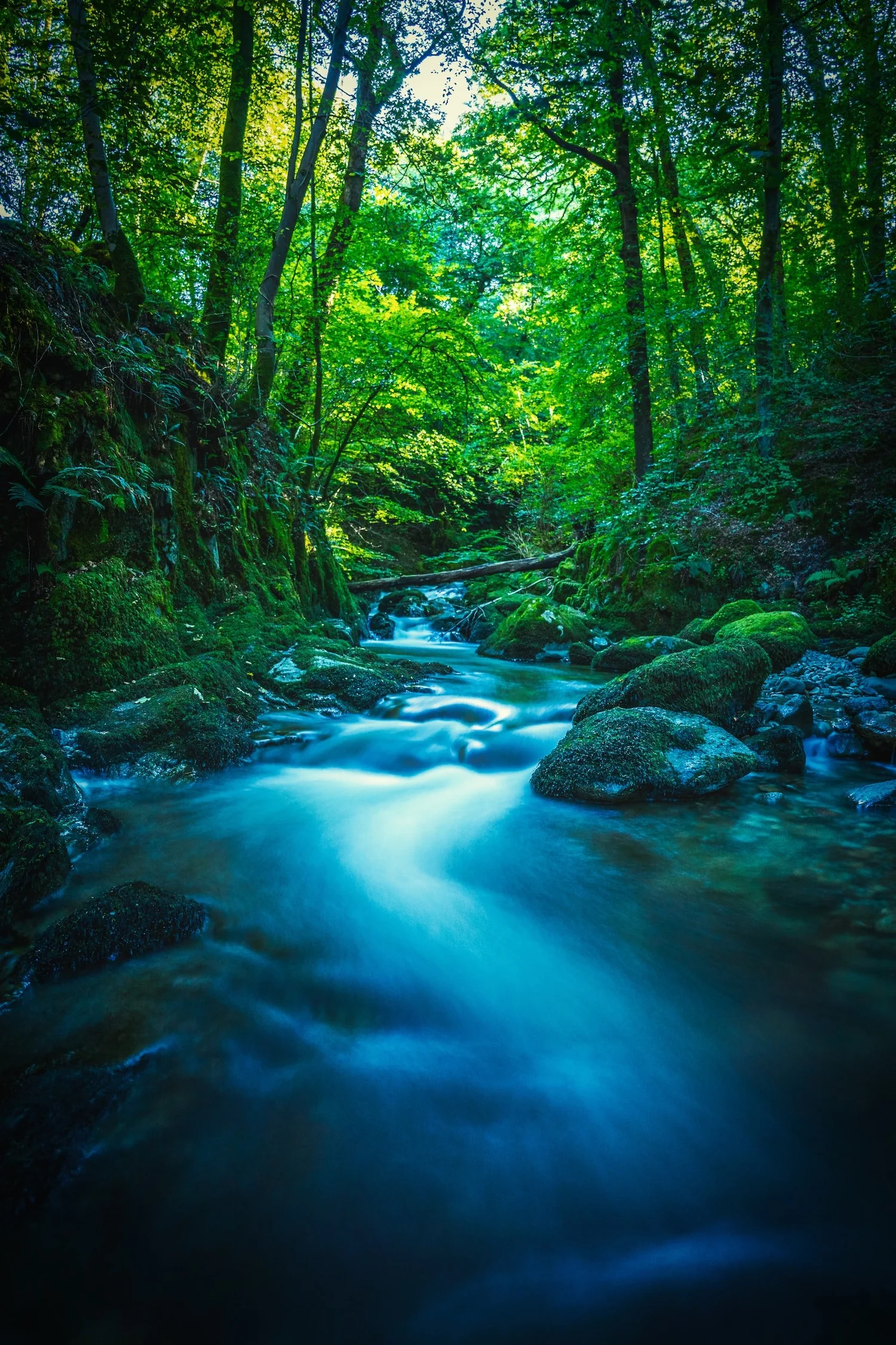 Understanding Our Internal System: Healing Our Parts with IFS Therapy ...