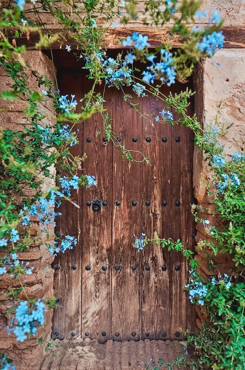 Understanding Our Internal System: Healing Our Parts with IFS Therapy ...