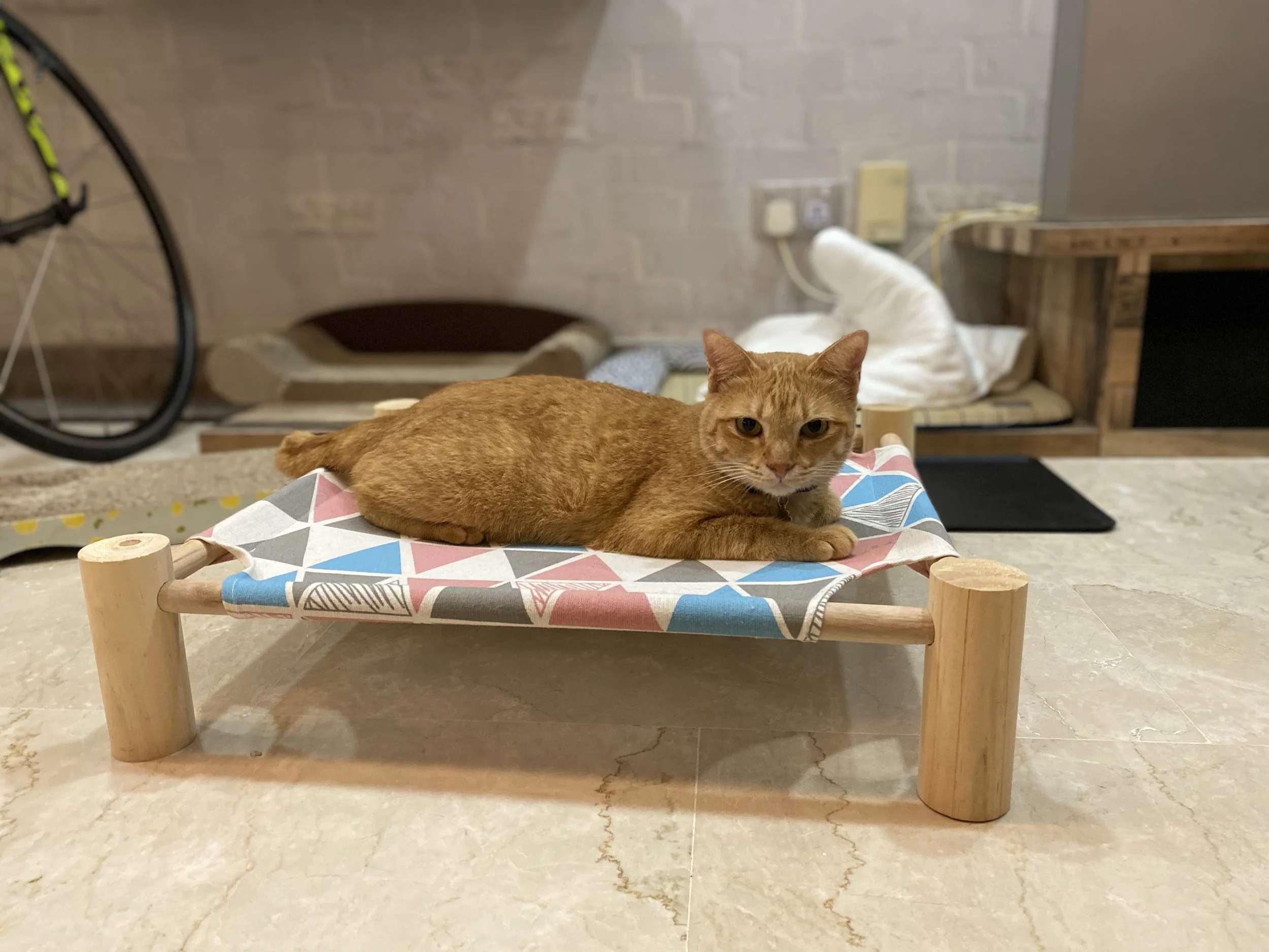 Jia Xuan & Tara — Metta Cats & Dogs Sanctuary