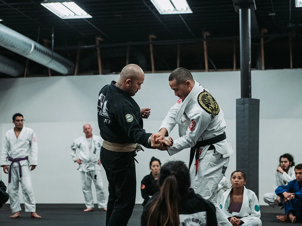 Programs — Conde Koma BJJ