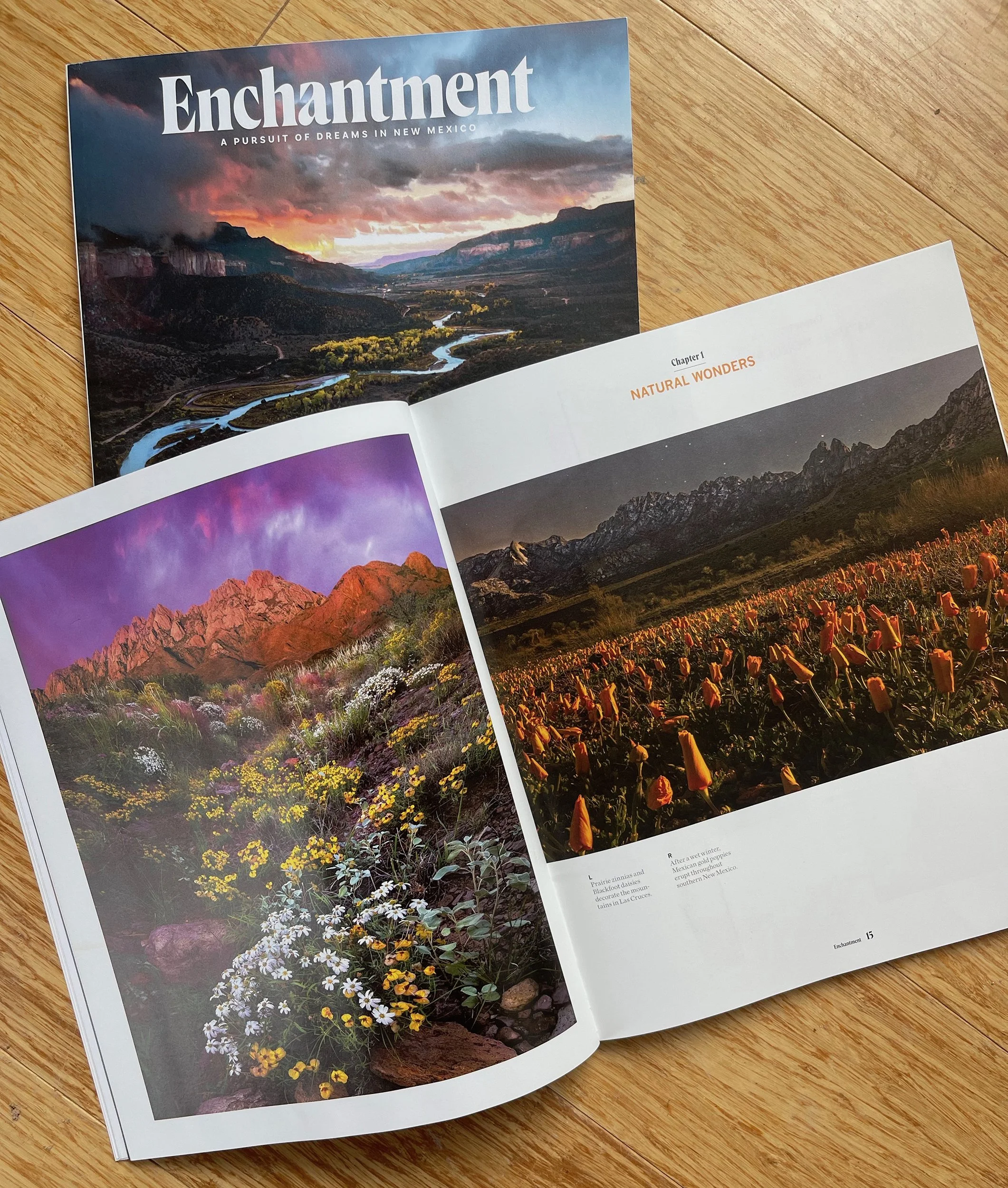 Christina M. Selby Conservation Communications