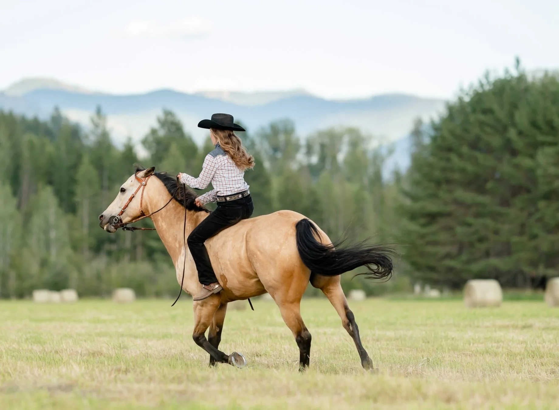 Horseback Riding Lessons in Sandpoint — Wild Hearts Equestrians