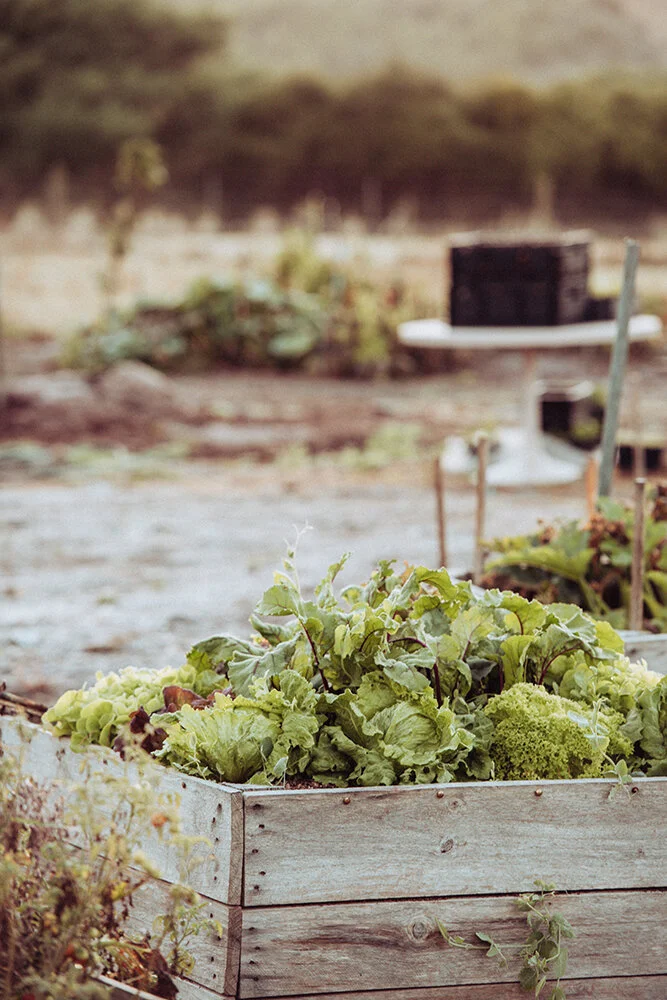 Reserve a table | Book now — Guide Falls Farm