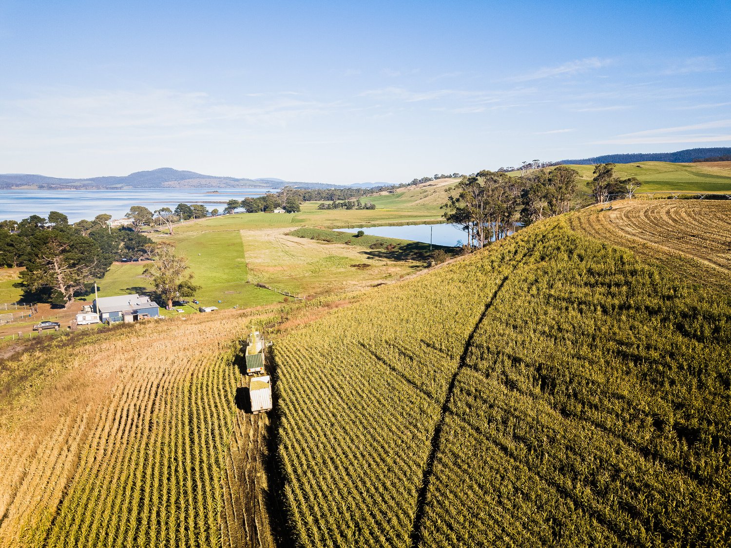 Gallery — Bream Creek Dairy