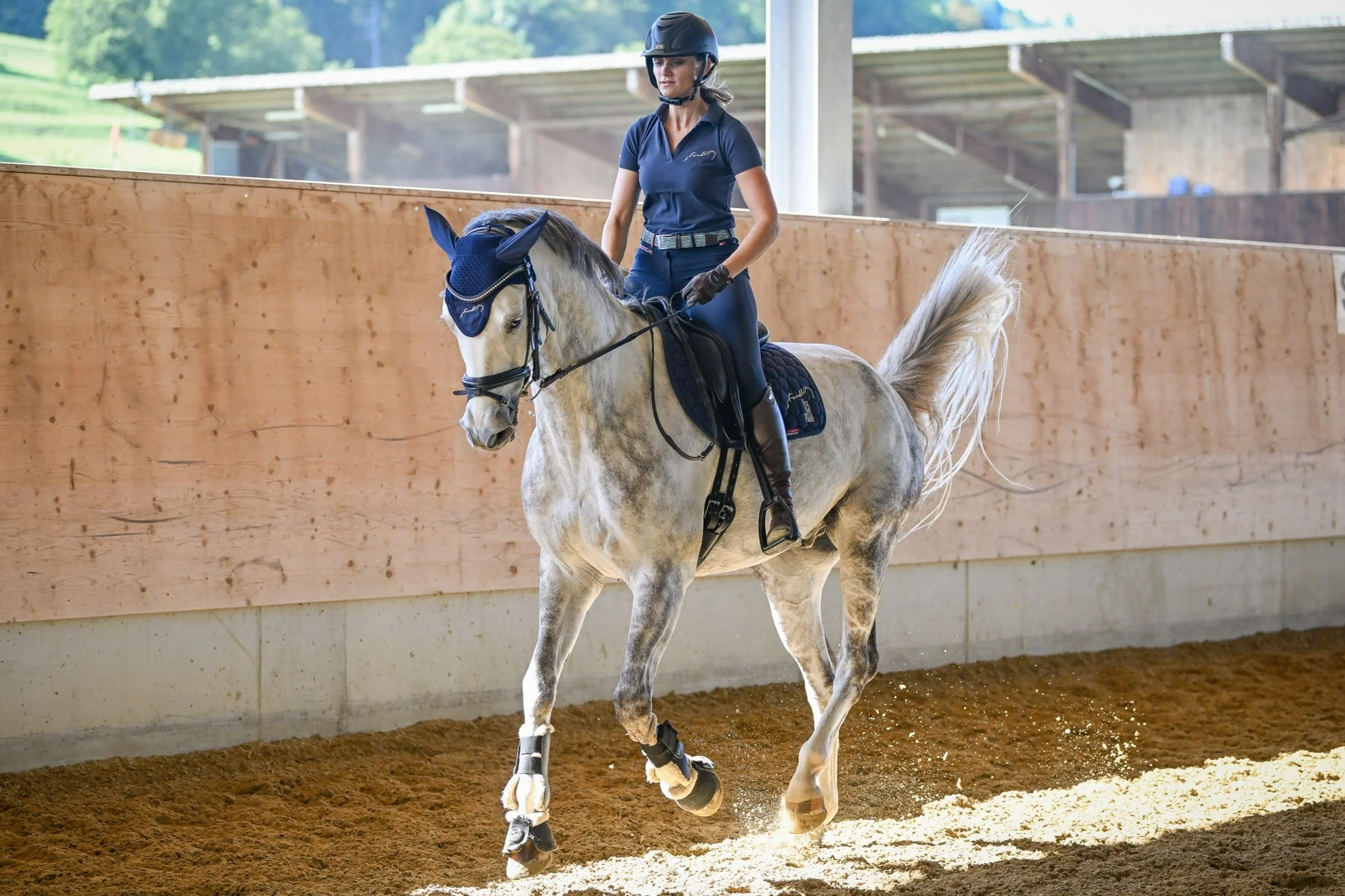Reitstunden — Reitsportzentrum Fondli