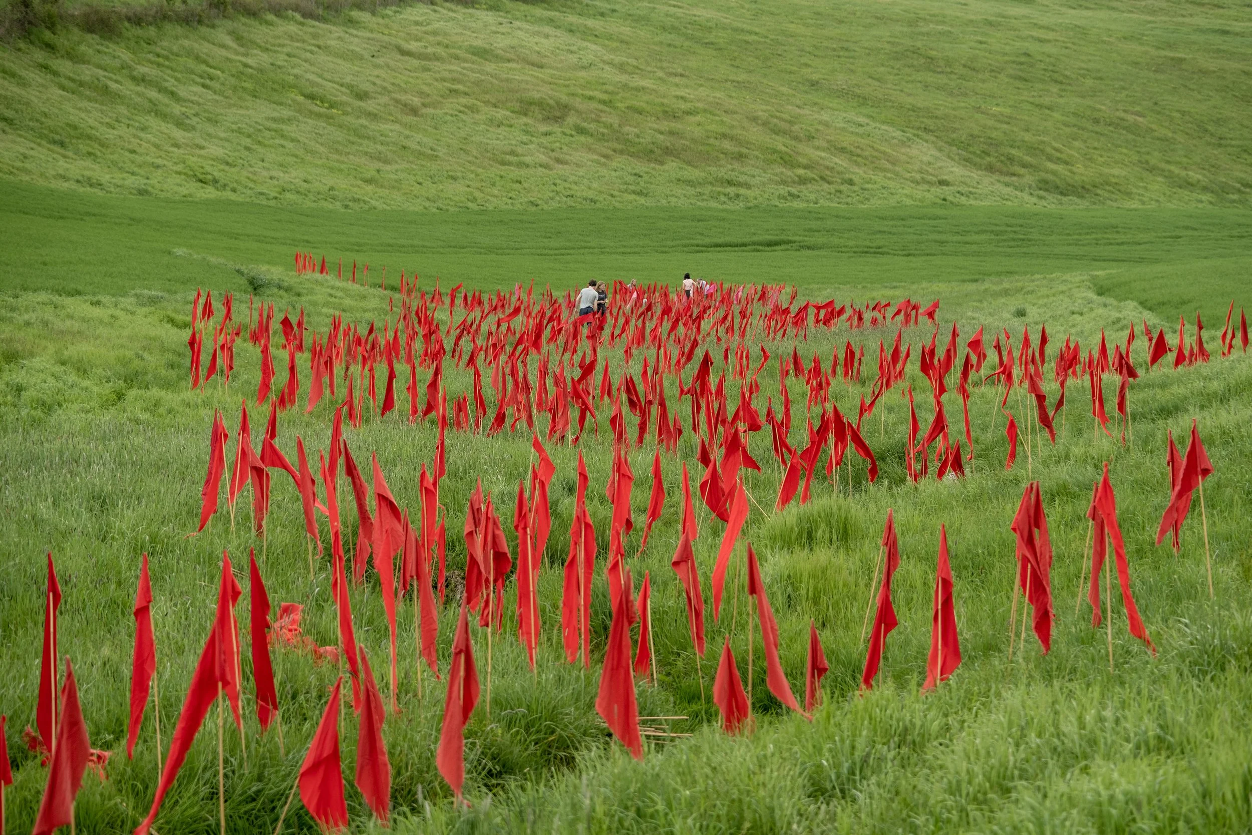 Vlaggen voor Vrede — Romagne 14-18