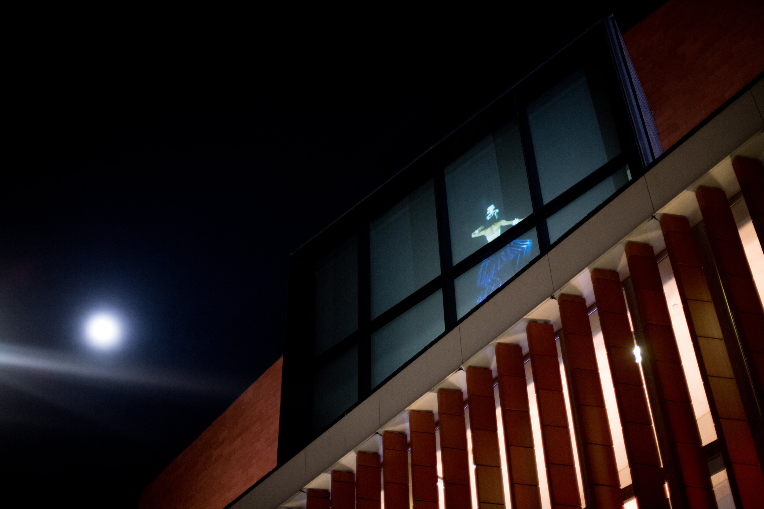 december dance — Dans in Brugge