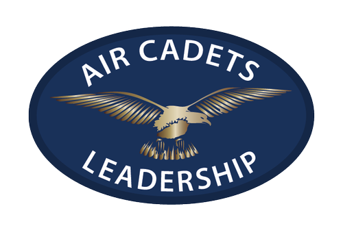 Bronze Leadership Course — 1324 (Hawker Blackburn) Squadron | Air ...