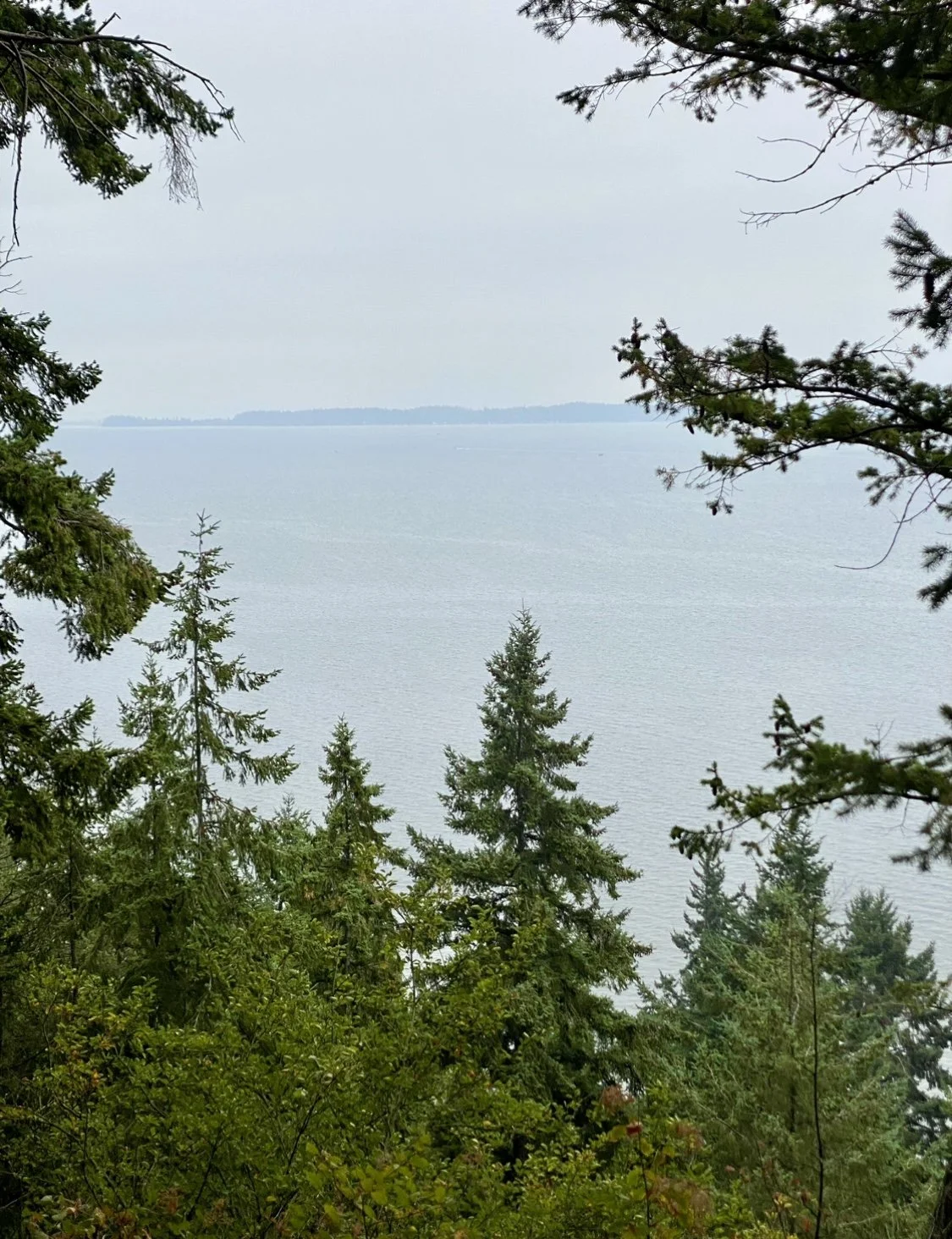 5 Stops Along Washington's Chuckanut Scenic Byway. — AgeTrippin