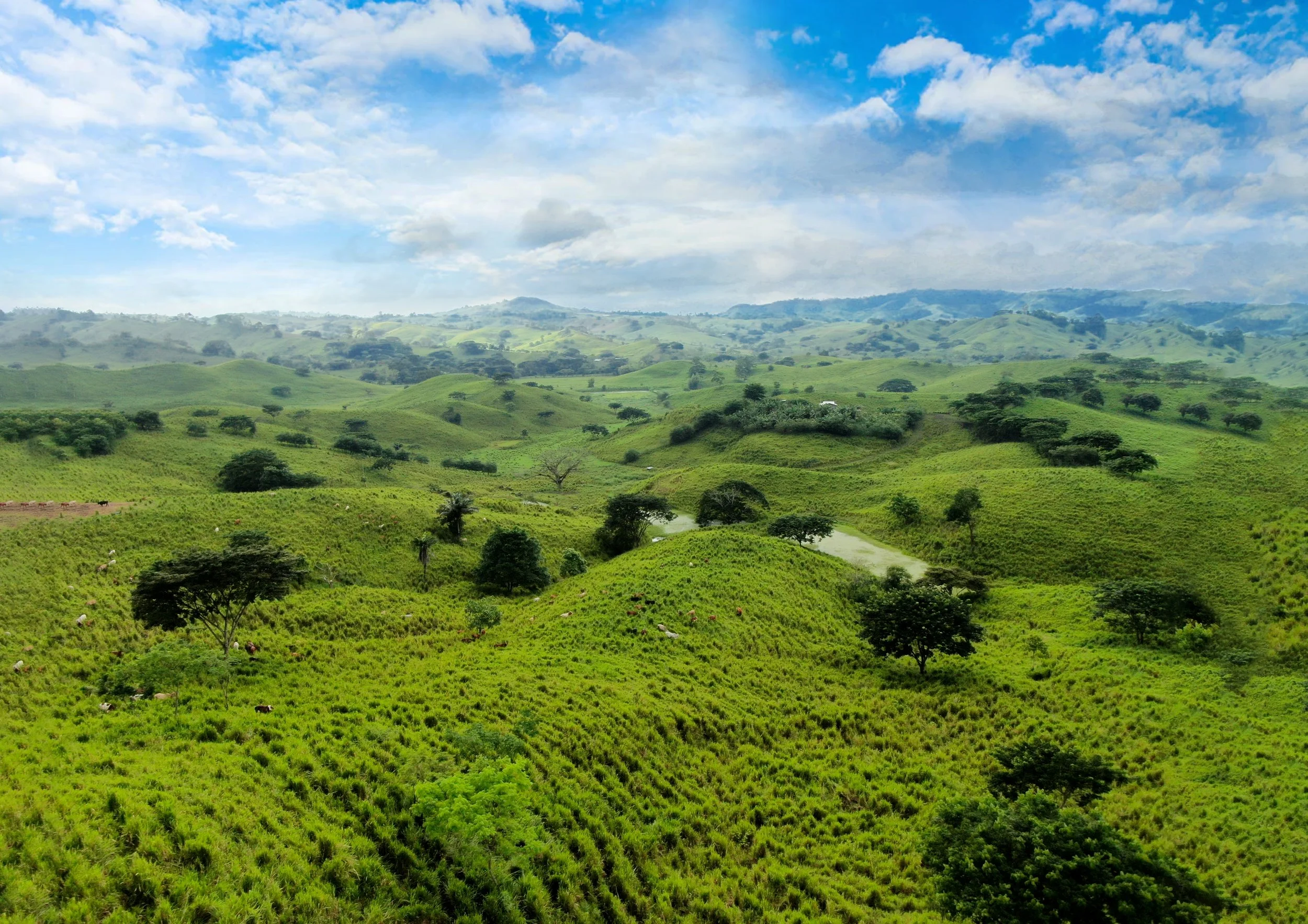Agricultural Livestock Farm for Sale in Flavio Alfaro, Chone Manabí ...