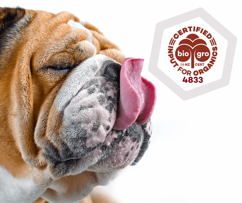 Humic & Fulvic for Pets — DCT