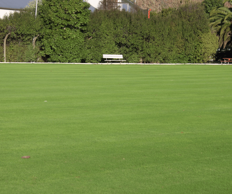 Fix Compaction with DCT — DCT