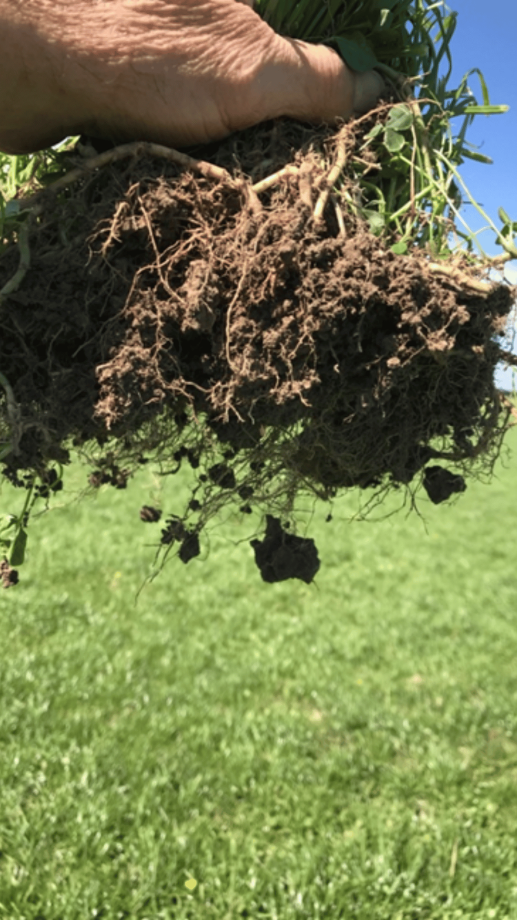 Fix Compaction with DCT — DCT