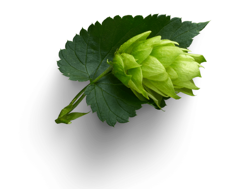DCT Hop Gardens — DCT