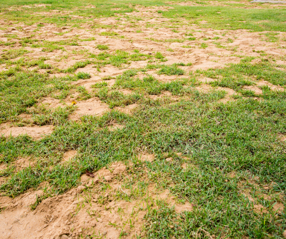 Fix Compaction with DCT — DCT