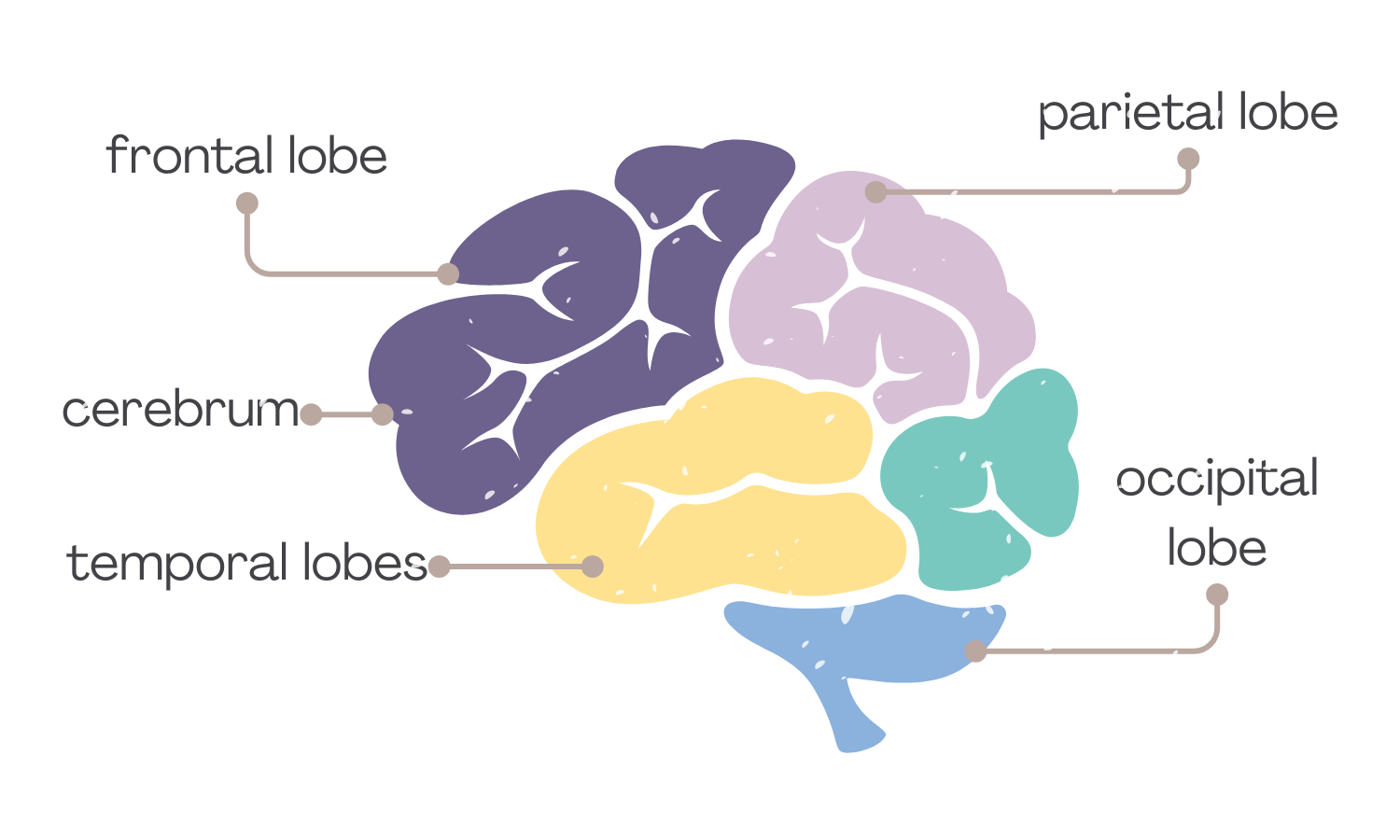 The Power of Words: How Your Language Shapes Your Mind and Wellbeing ...