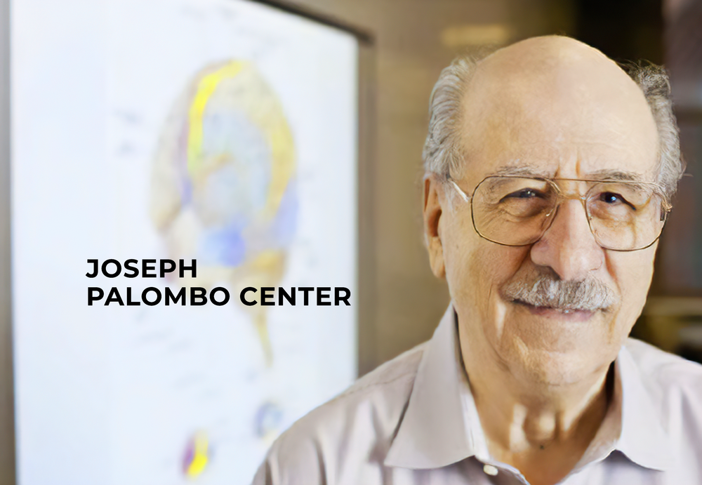 Palombo Center — ICSW