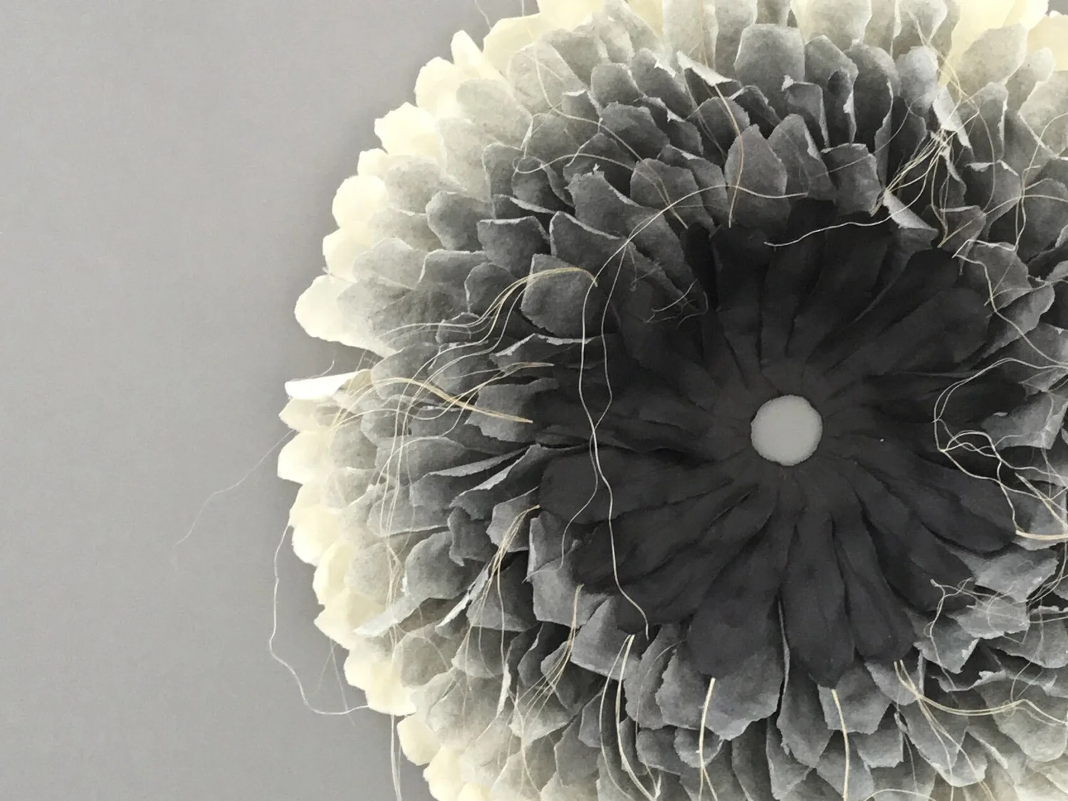 Commissions — Gill Wilson