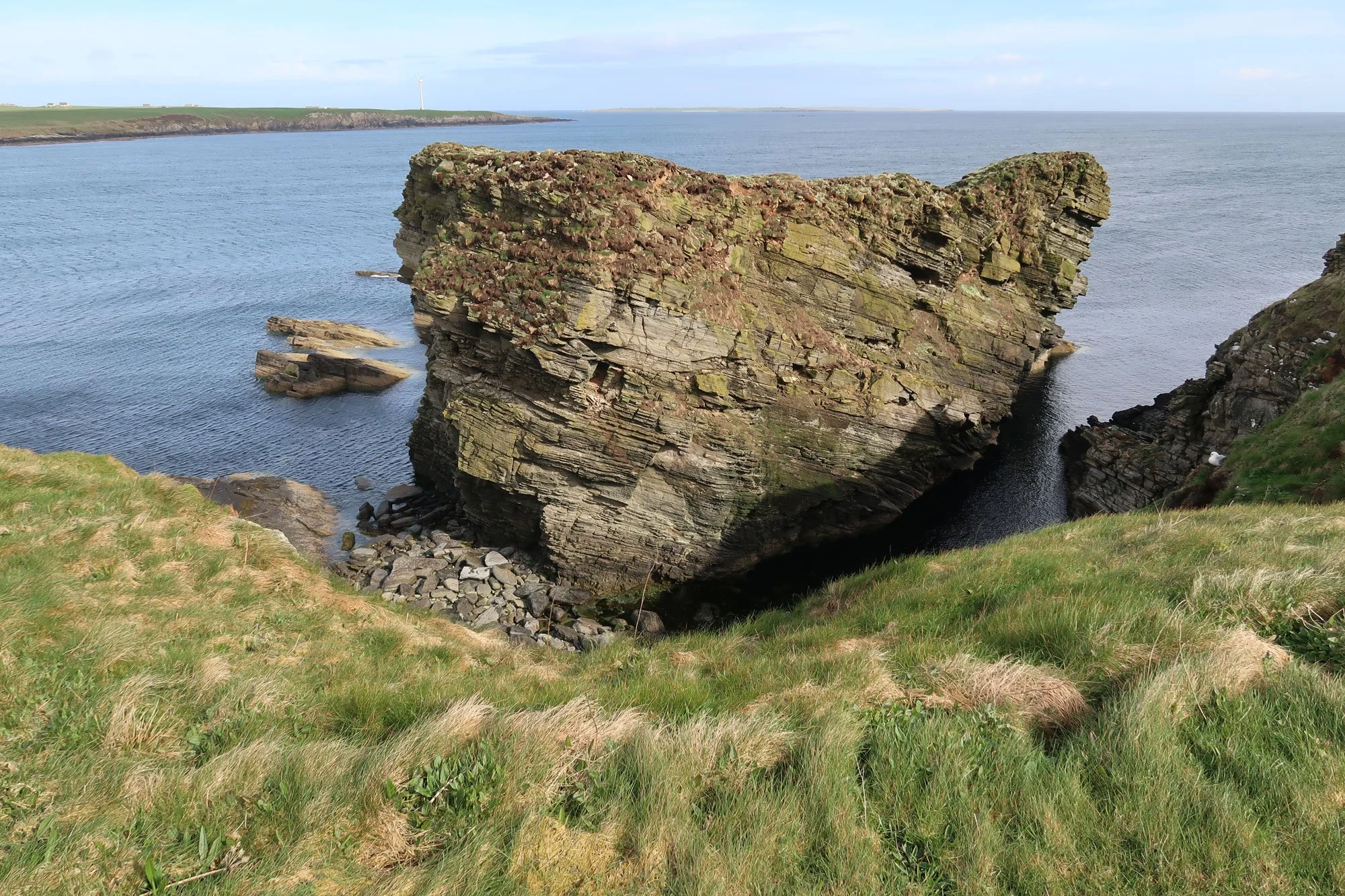 Puffins, Westray — Kirralee Fisher