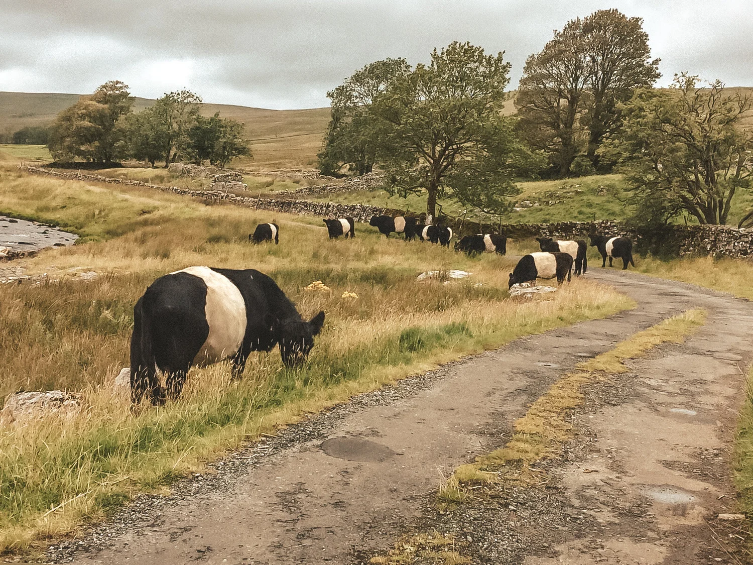 Stay. Explore. Learn | Nethergill Farm