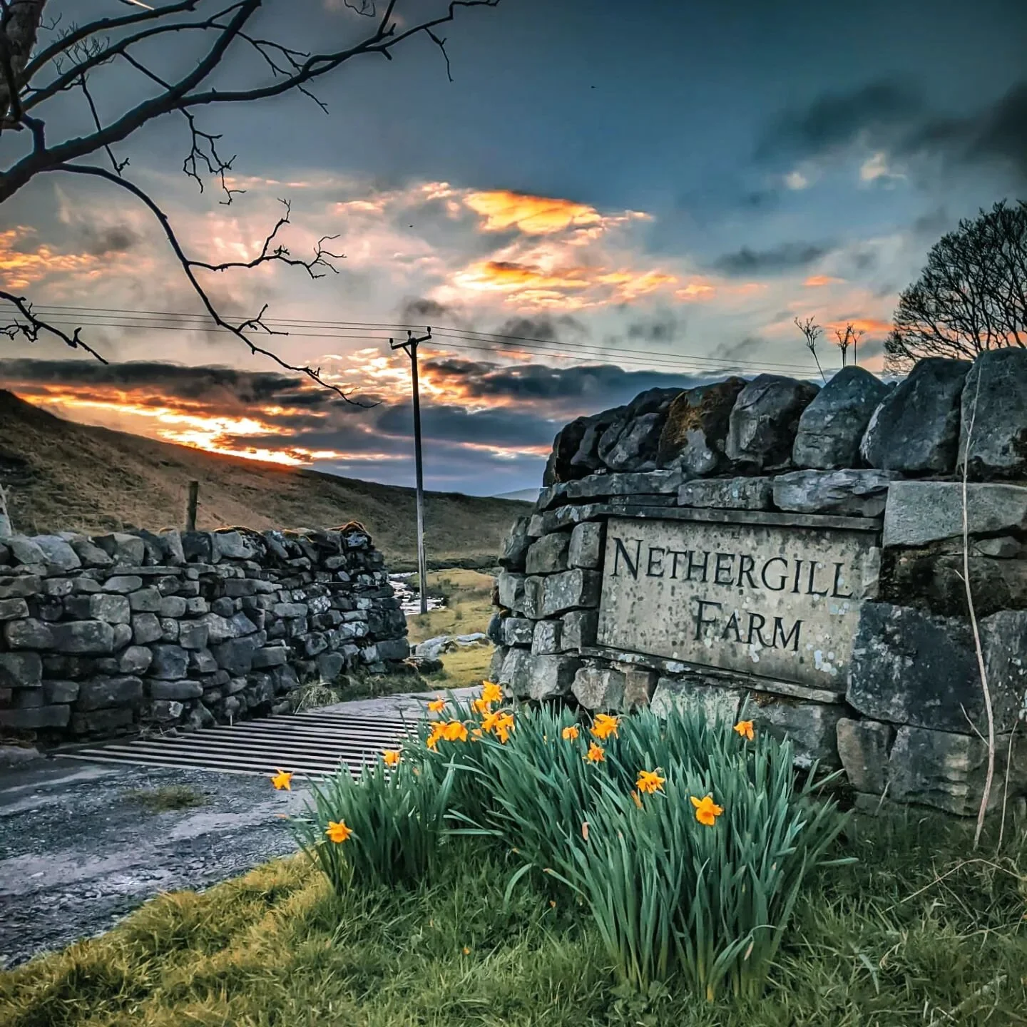 Yorkshire Self-Catering Lets | Nethergill Farm