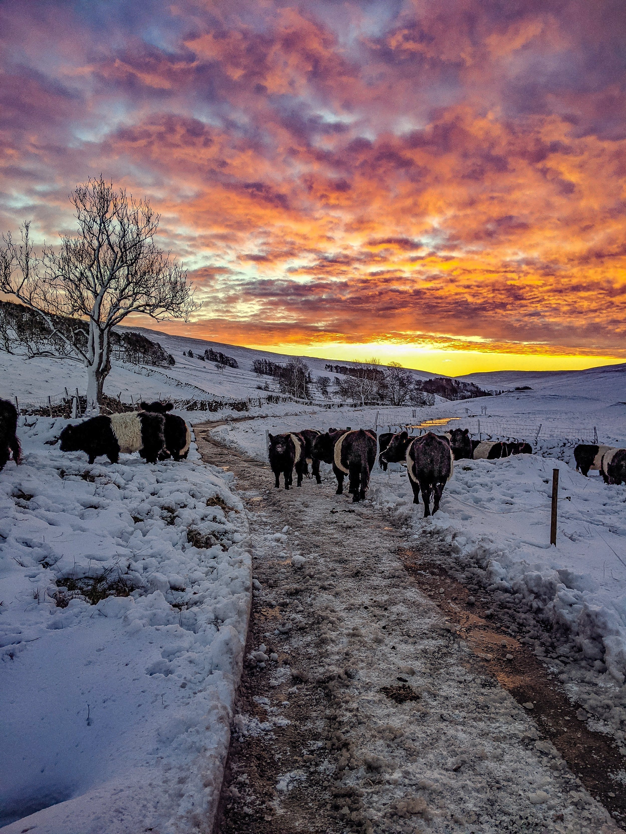 Stay. Explore. Learn | Nethergill Farm
