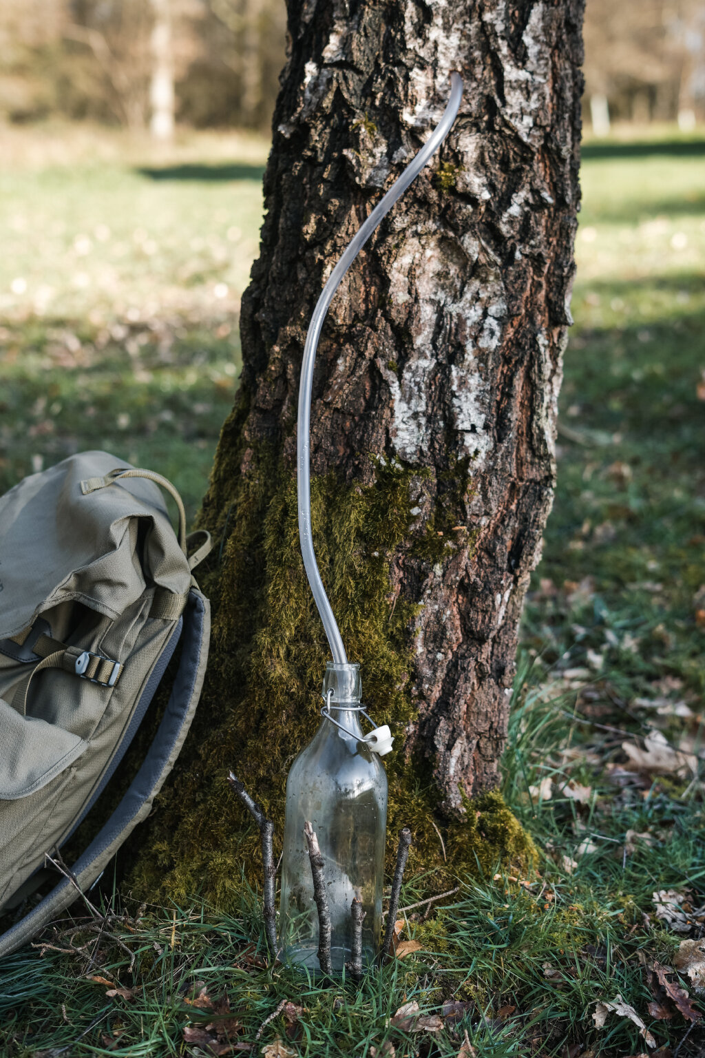 Tap the Sap! — Miscellaneous Adventures