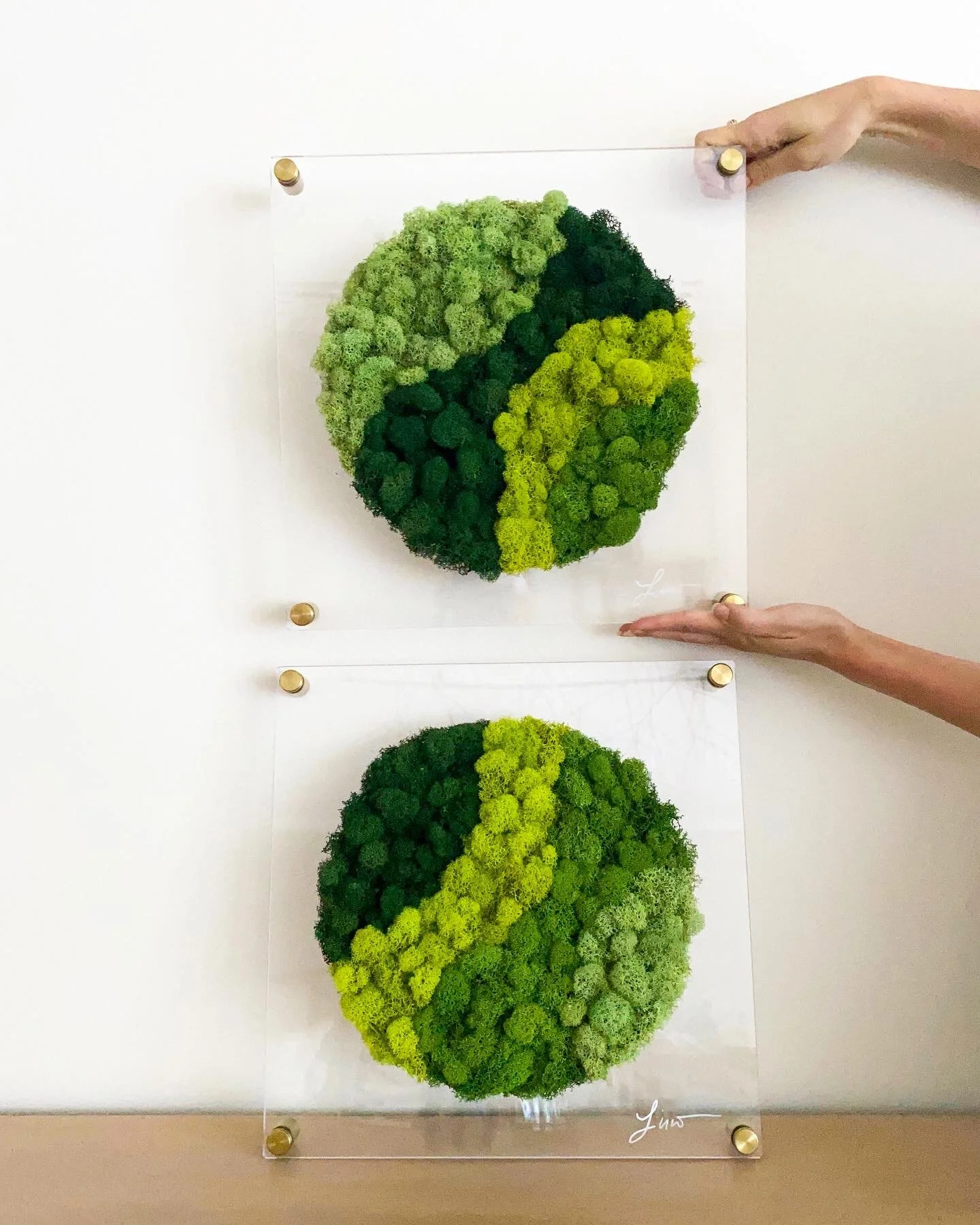 Linnea Botanicals Living and Moss Walls