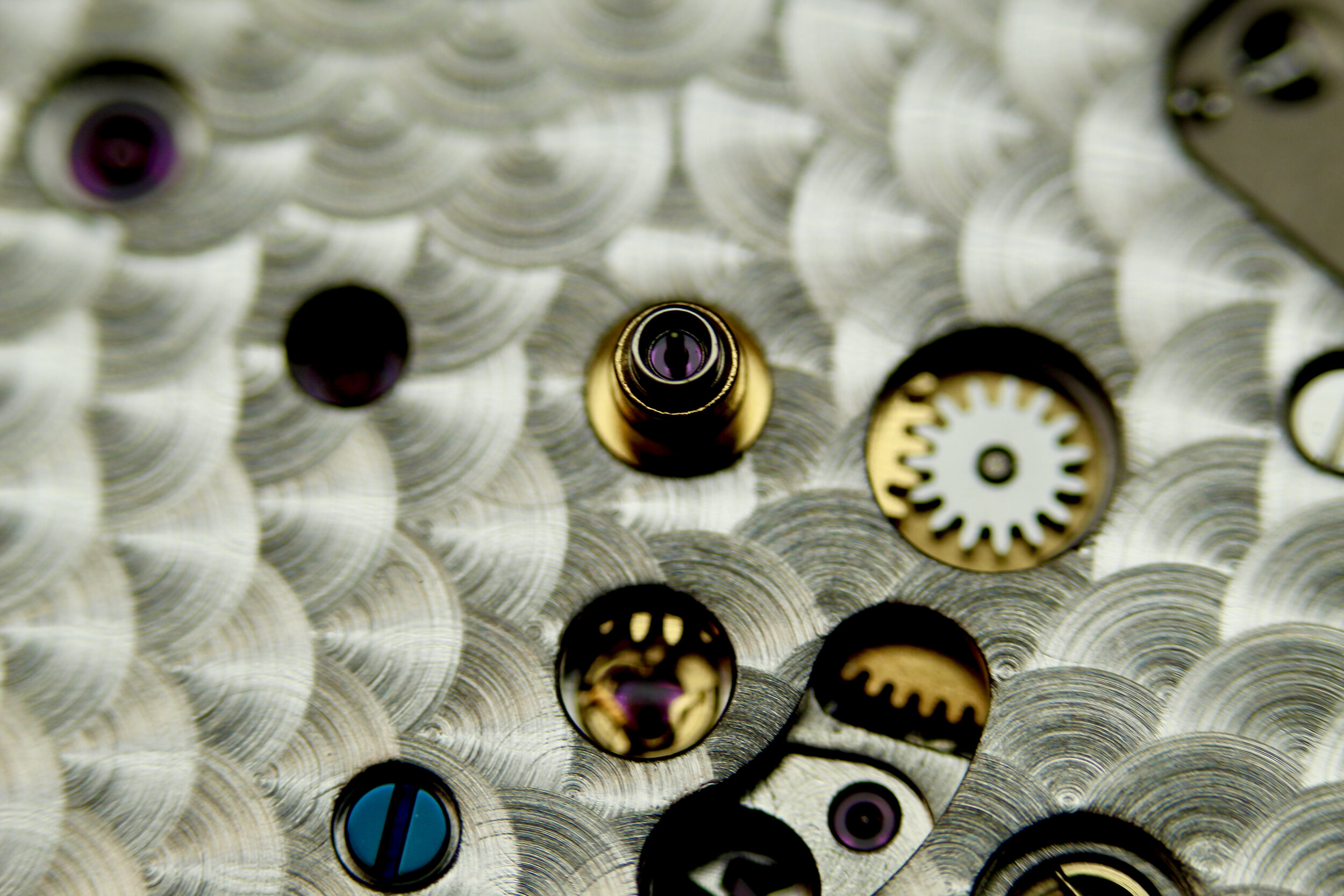 Thompson Watch Repair