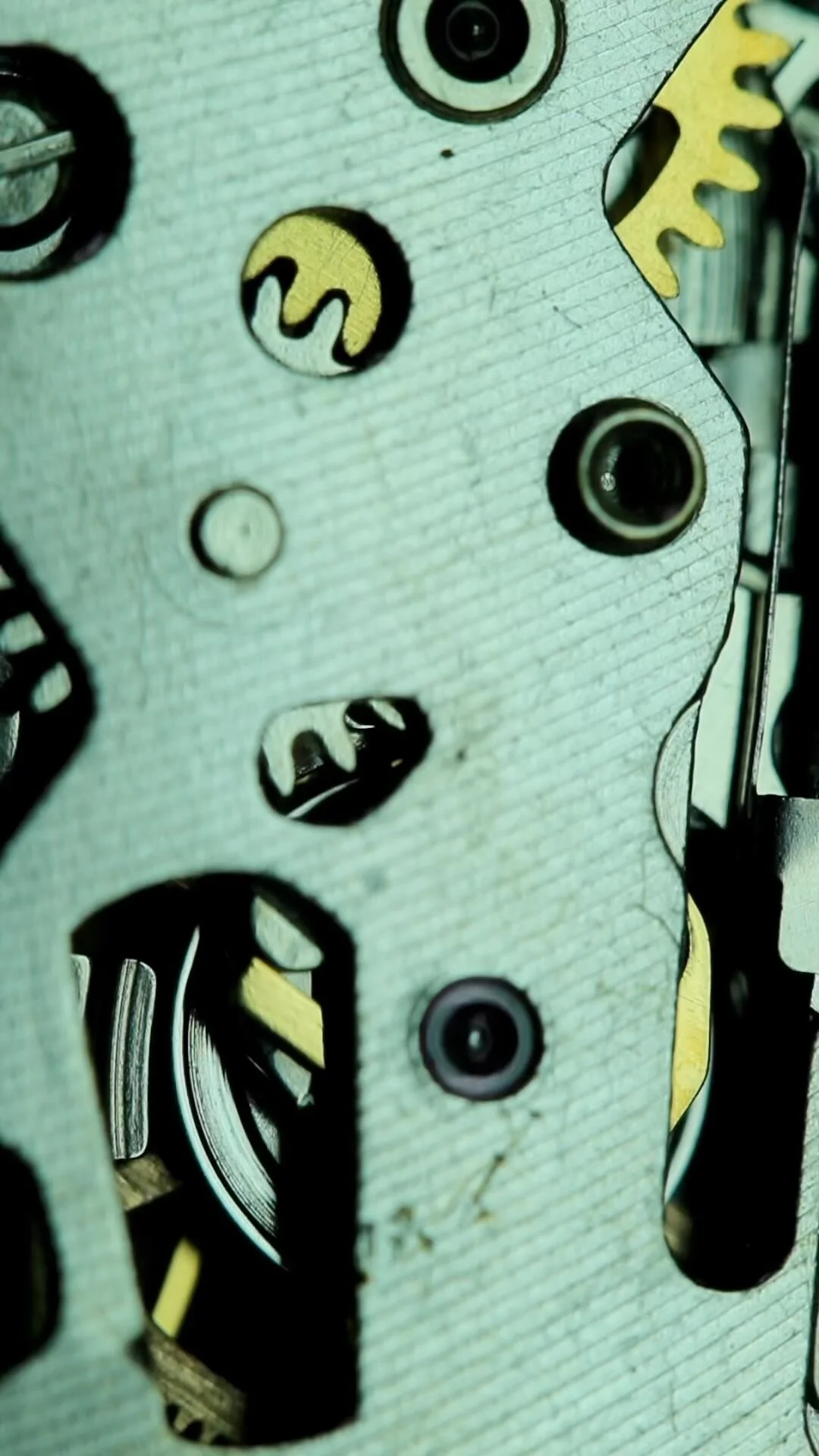 Thompson Watch Repair