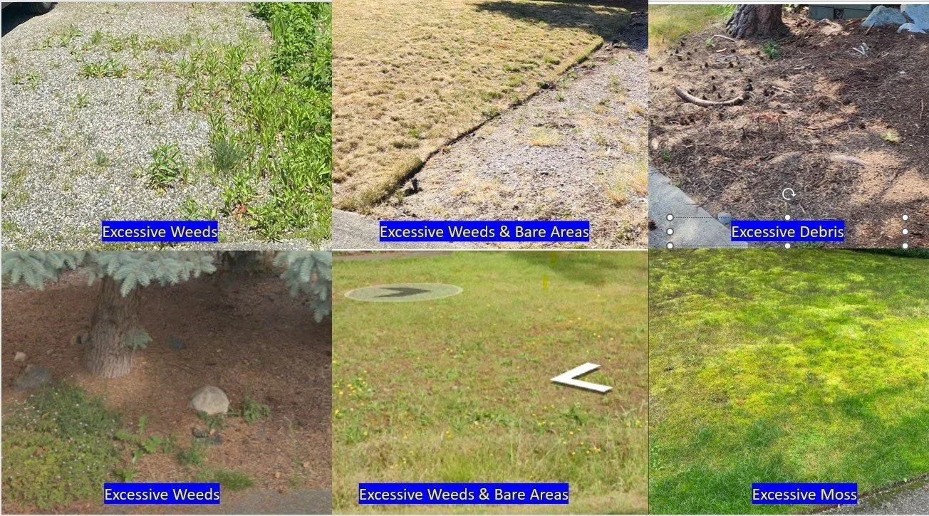 Violation Guidance — Summer Ridge HOA