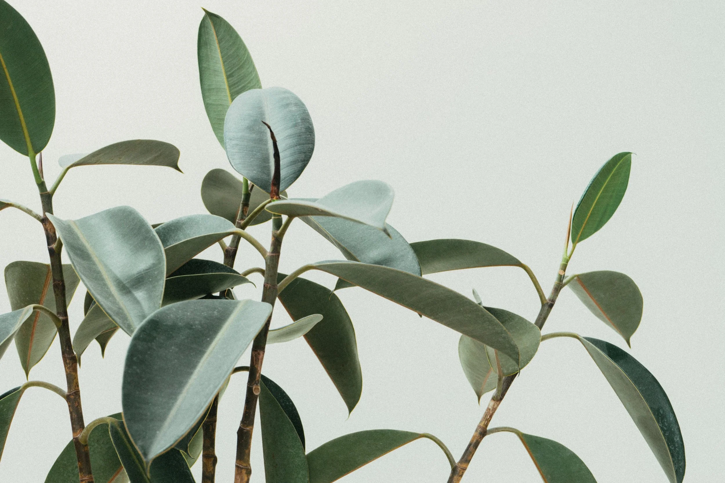 What Forgiveness Is Not — CBCD | Center for Biblical Counseling ...