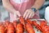 Lobster Suppers | Indulge in Maritime Tradition — Shore Club