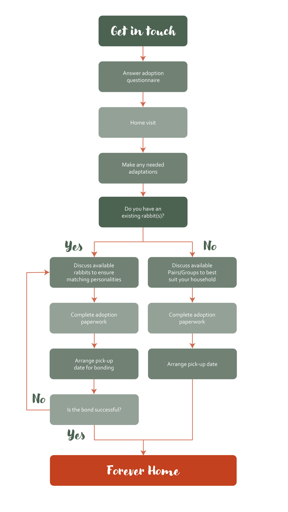 Adoption — Ivy Dene Rabbit Rescue