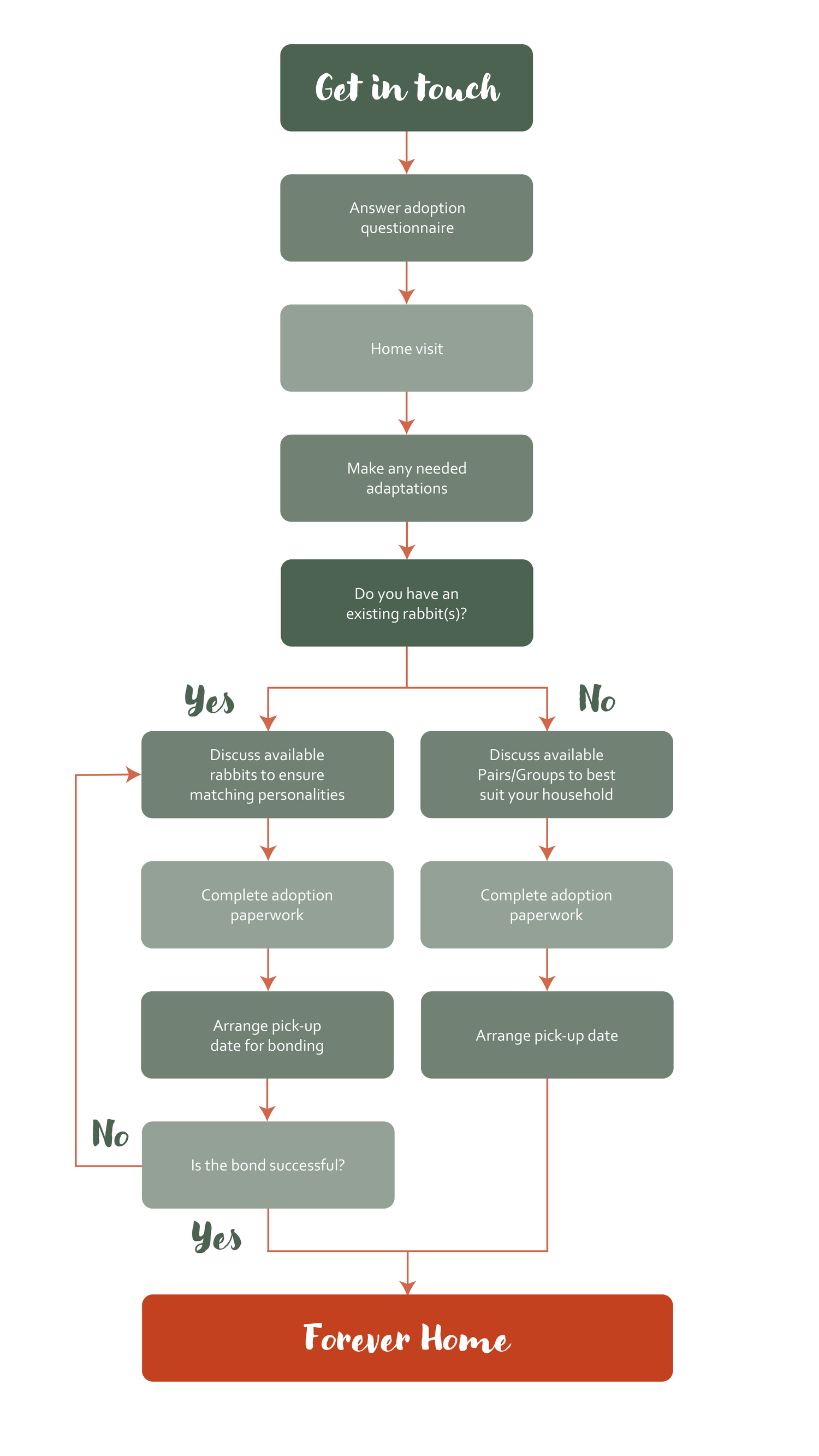 Adoption — Ivy Dene Rabbit Rescue