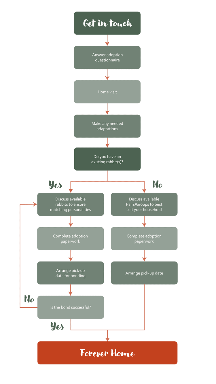 Adoption — Ivy Dene Rabbit Rescue