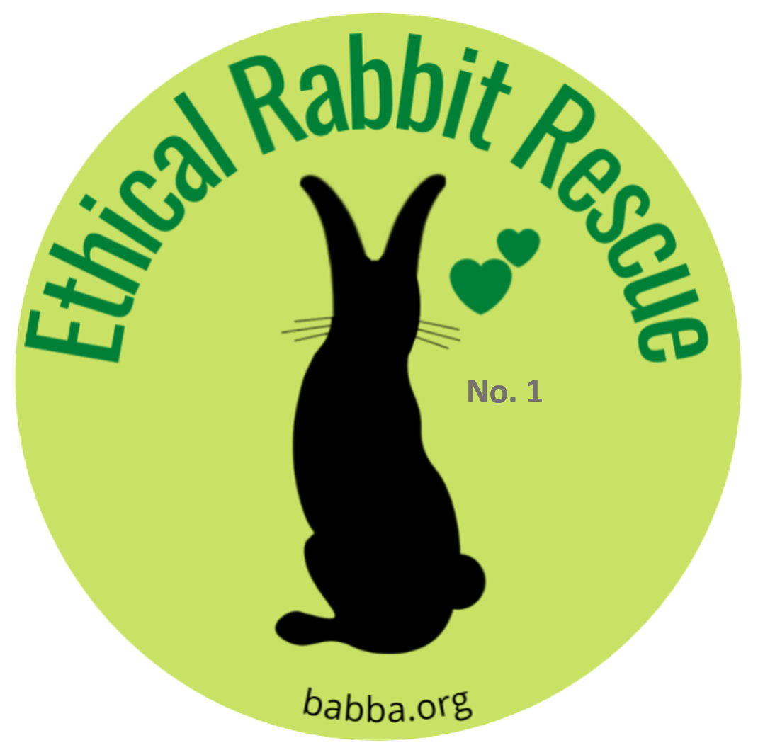Our Ethics — Ivy Dene Rabbit Rescue