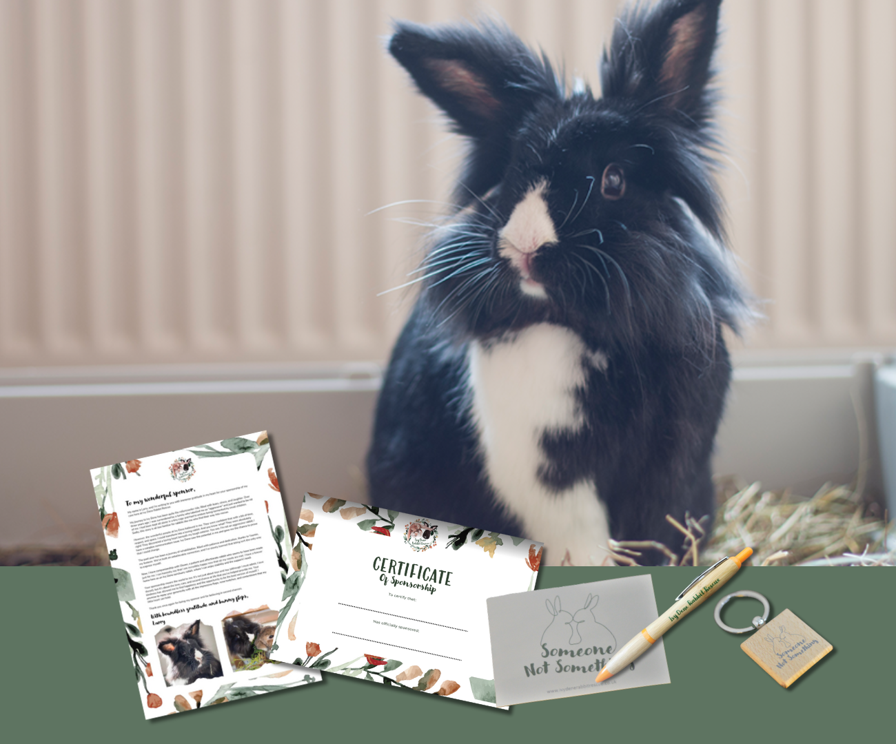 Sanctuary Rabbits — Ivy Dene Rabbit Rescue