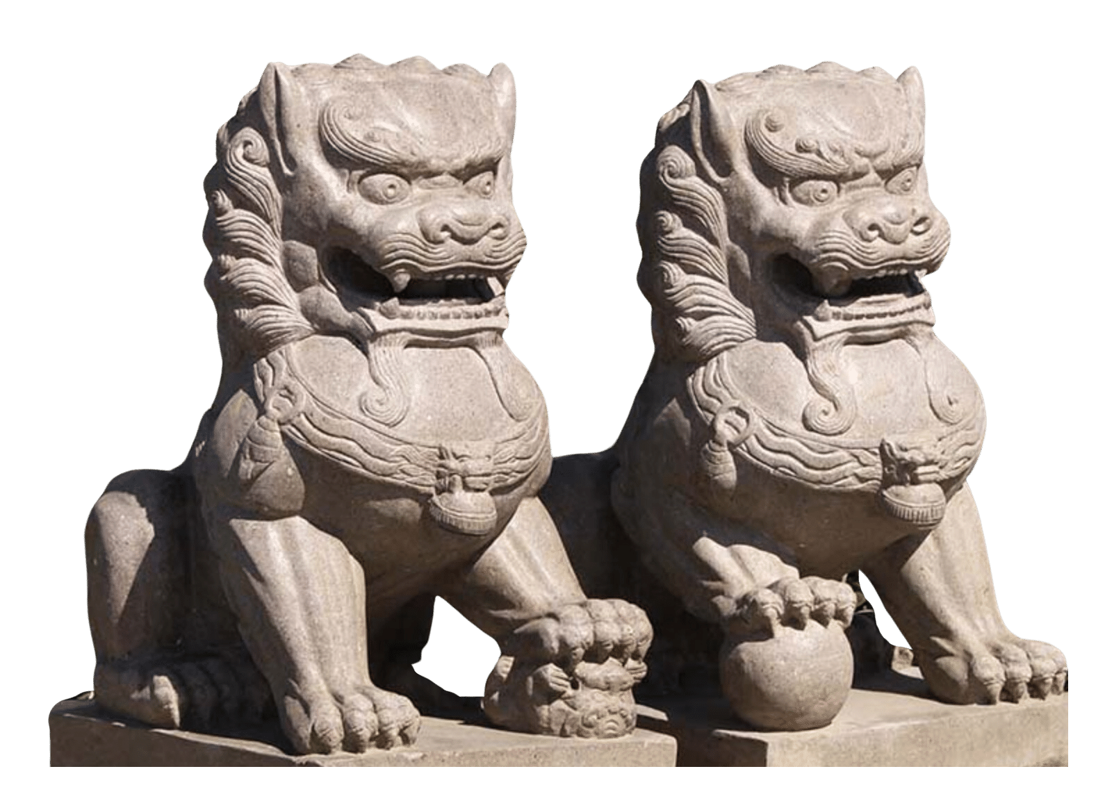 Free Resources - Align & Design