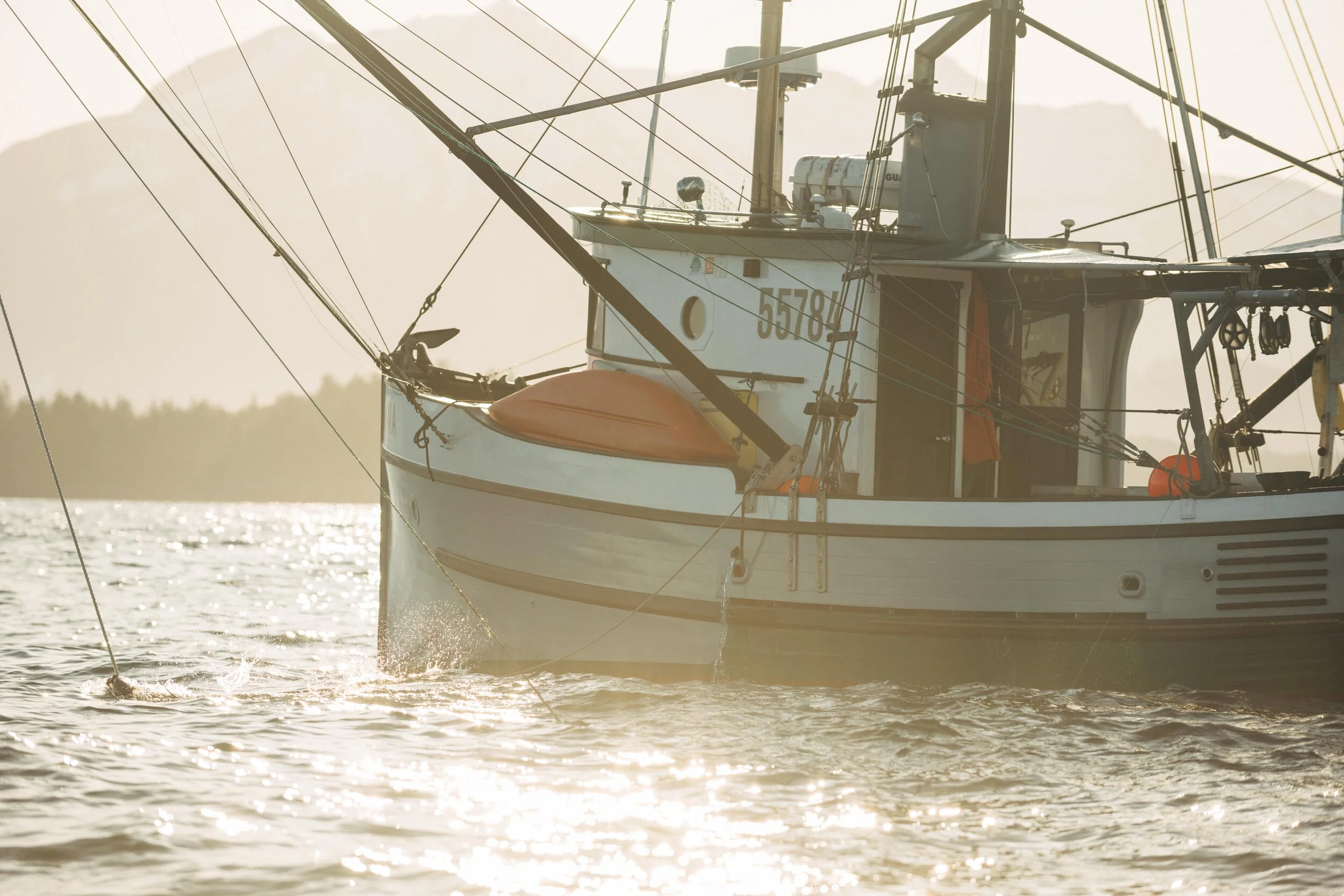 Our Values — Seafood Producers Cooperative