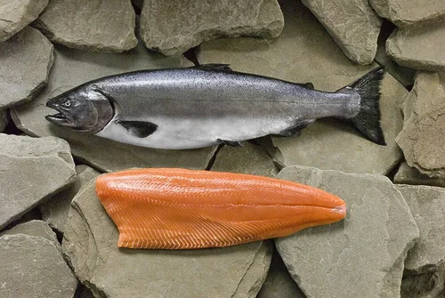 Wholesale — Seafood Producers Cooperative