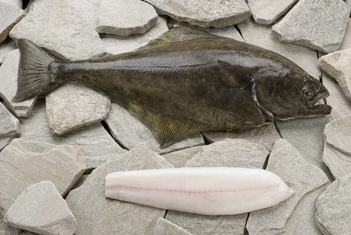 Wholesale — Seafood Producers Cooperative