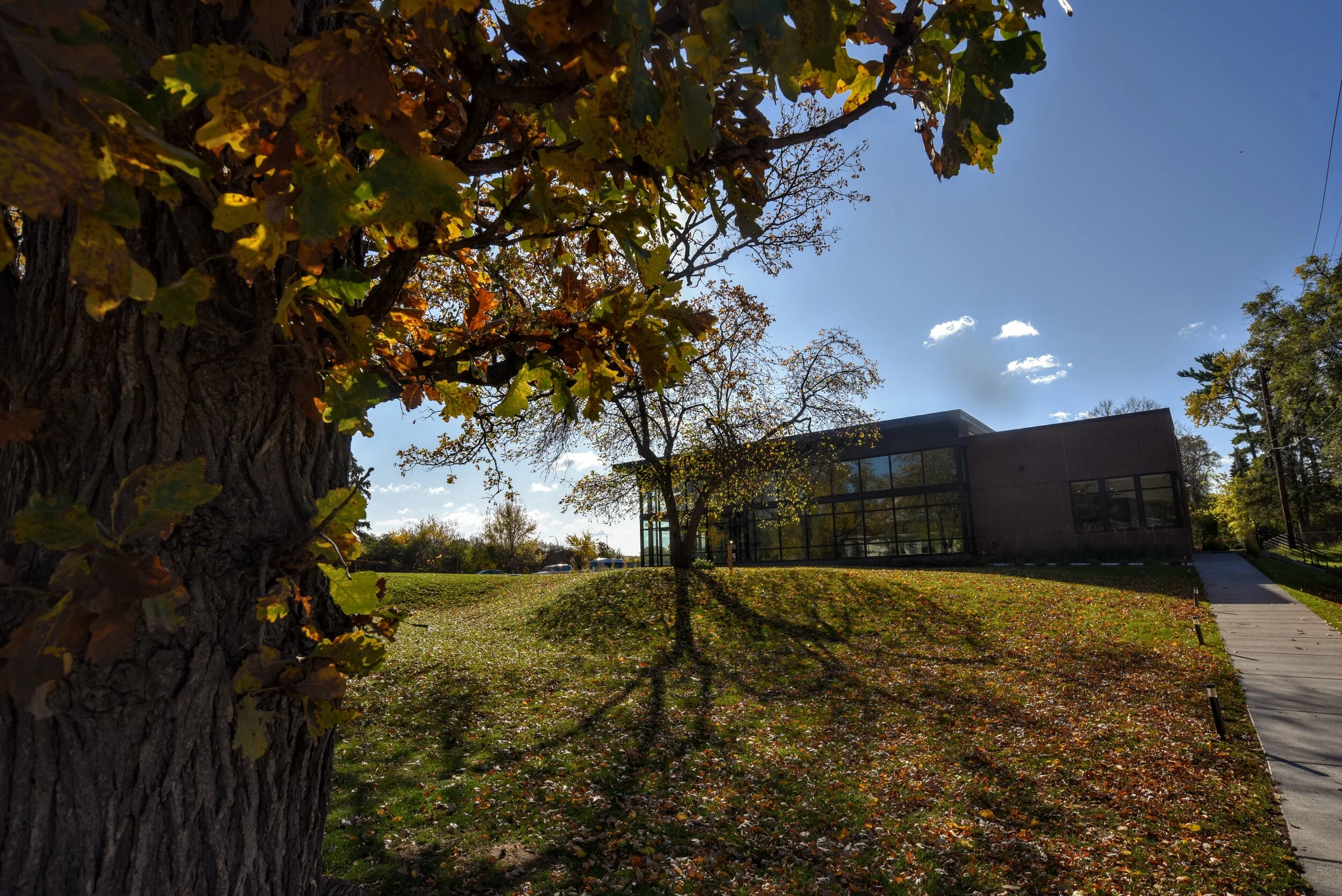 RiverTree School